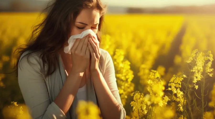 Safe Flowers for Allergies: Choosing Low-Allergen Plants – Rosaholics