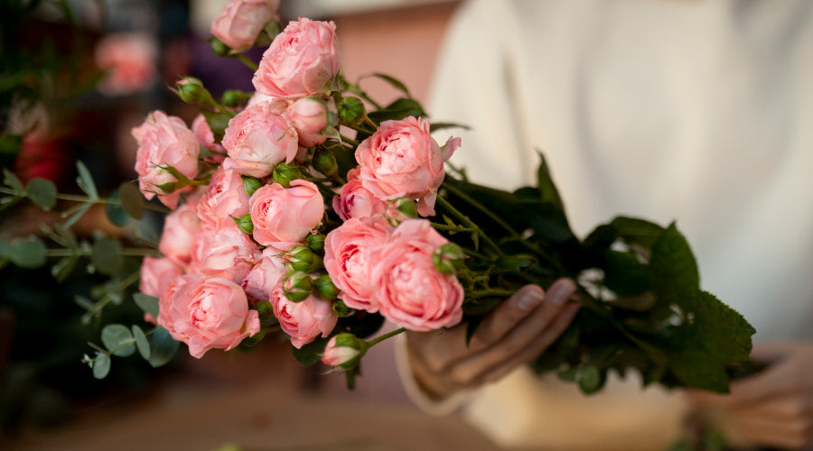 Best 10 Cheap Flowers Ideas for Any Occassion – Rosaholics