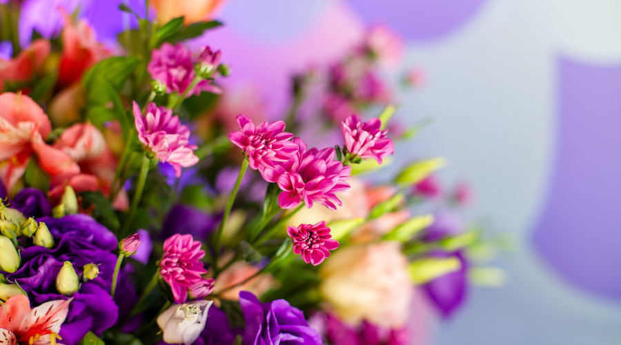 Popular Flowers in Fall 2022 – Rosaholics
