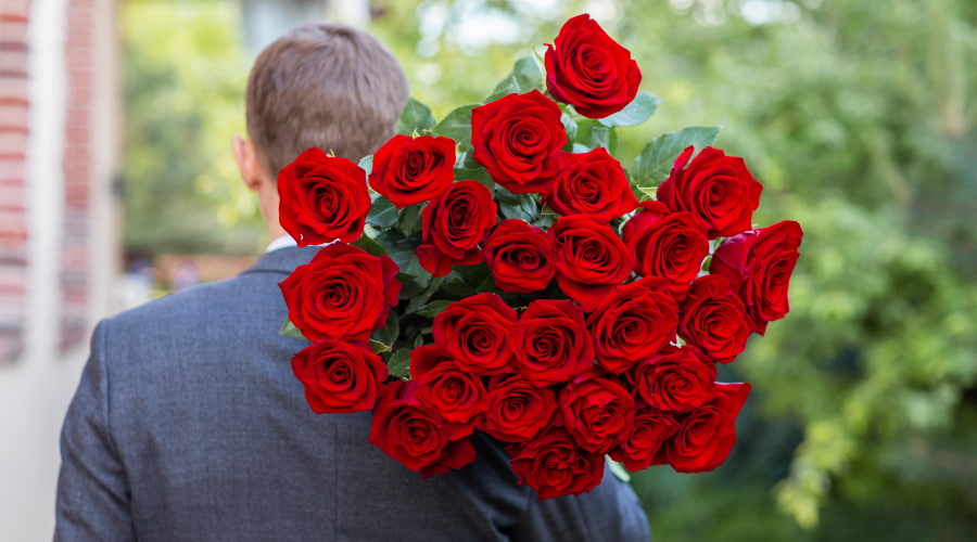 Flowers that Means Apology – Rosaholics