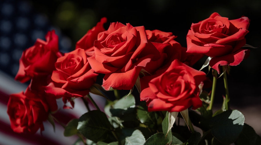 Best Flowers for Memorial Day – Rosaholics