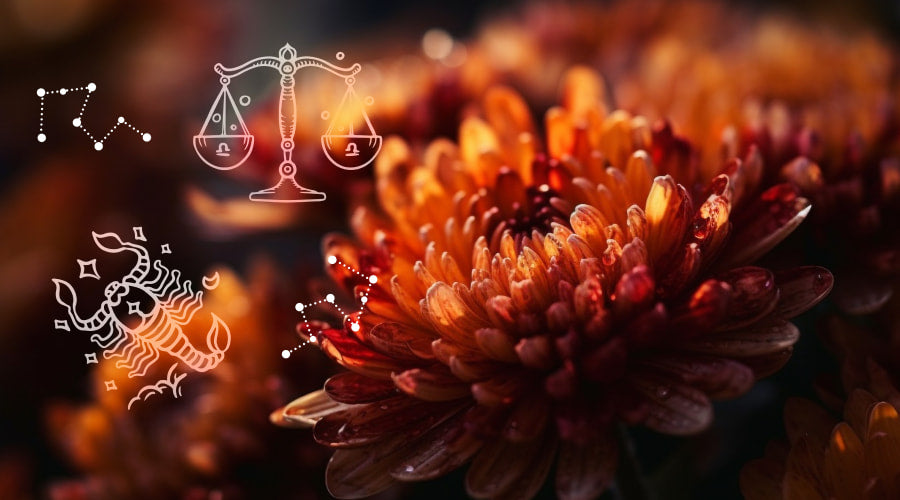 Flowers for October: Libra and Scorpio Themes – Rosaholics