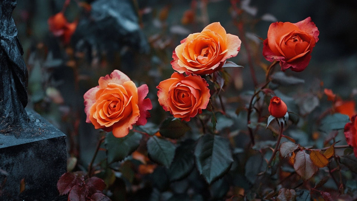 Haunted Rose Gardens for Halloween Décor – Rosaholics