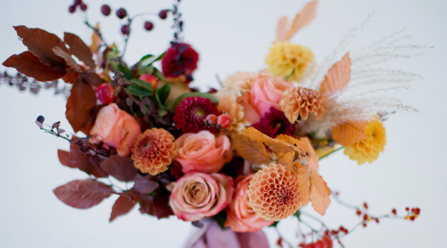 Which Flowers are Seasonal in October? – Rosaholics