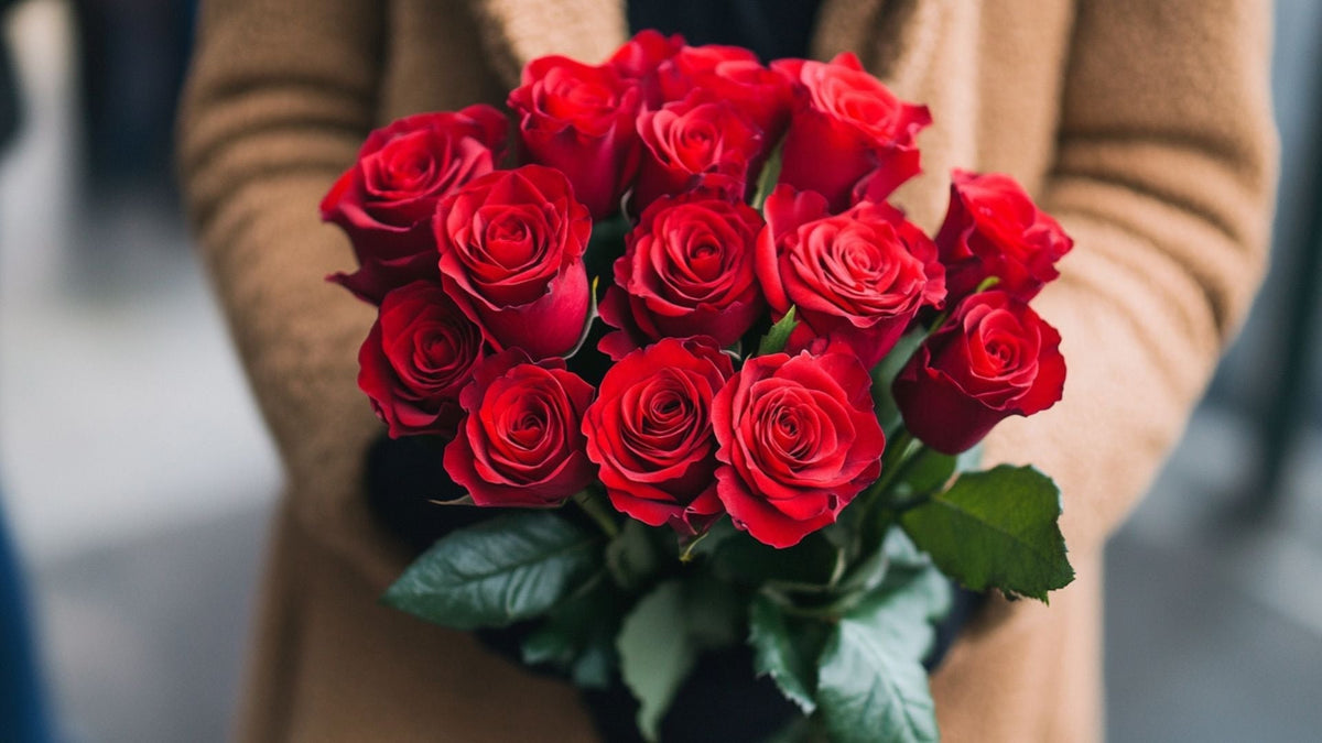 Where to Place Roses at Home | Rosaholics Tips