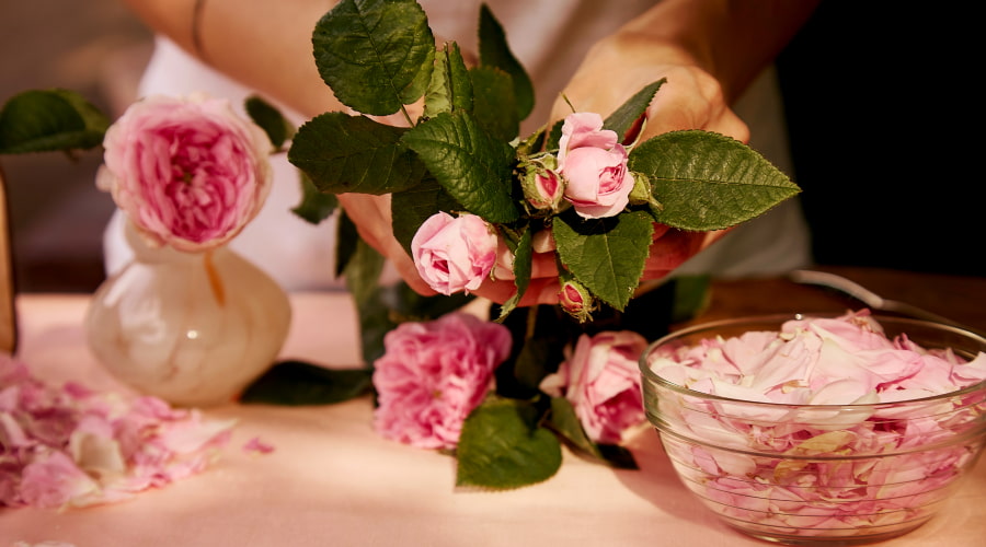 Top 5 Rose Powder Recipes for Self-Care Routine – Rosaholics