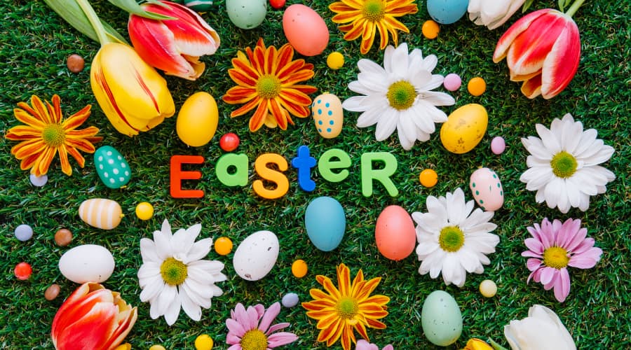 Top 10 Traditional Easter Flowers: Meaning – Rosaholics