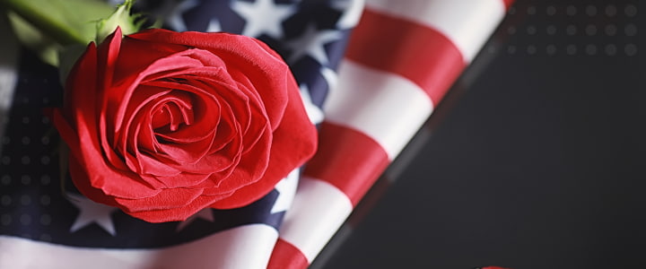 Rose: Symbol flower of the United States – Rosaholics
