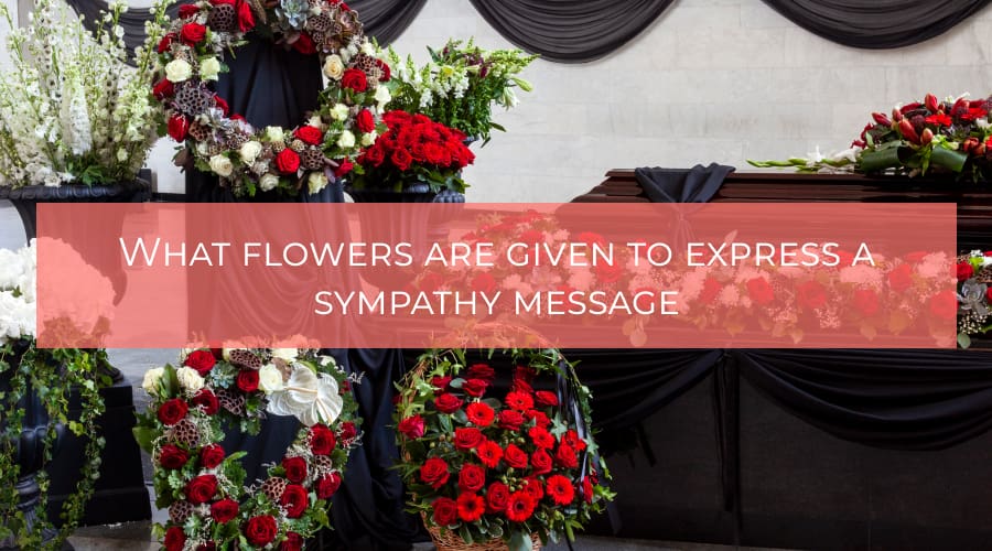 How to Choose a Message for Sympathy Flowers? – Rosaholics