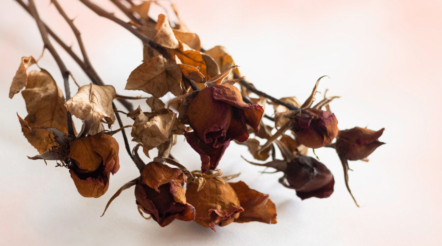 Top 5 Dried Roses Decoration Ideas – Rosaholics