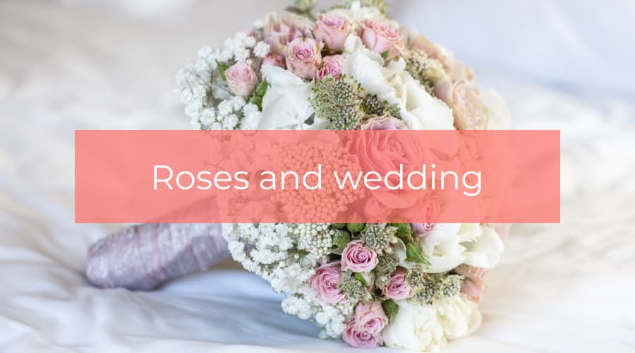 Wedding Roses: How To Choose Your Best Color? – Rosaholics