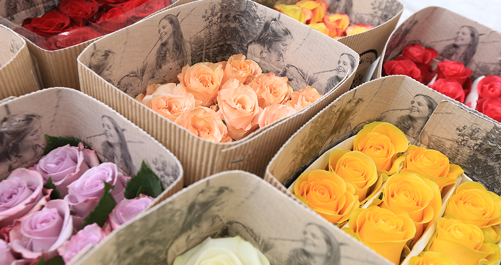 What Rose Matches Your Personality Best? – Rosaholics