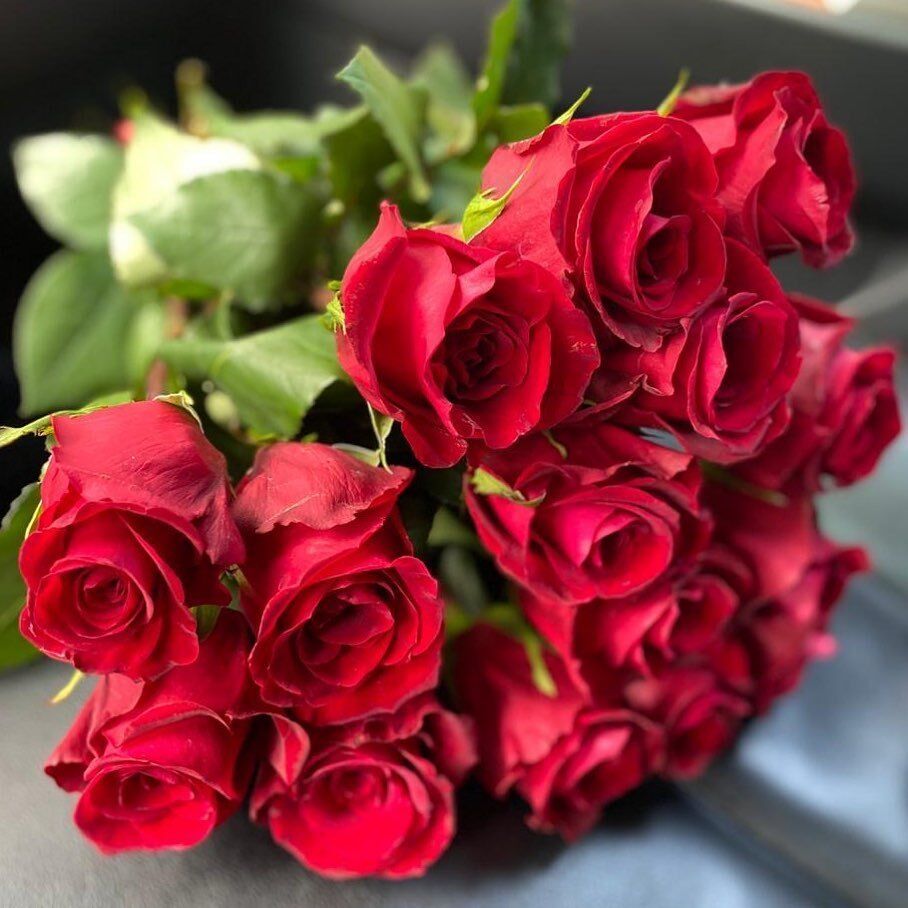 Red Roses: Interesting Facts and History – Rosaholics