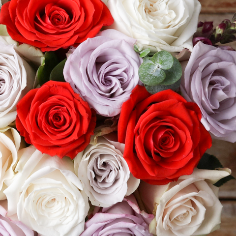 Guide to Roses Color Meaning – Rosaholics