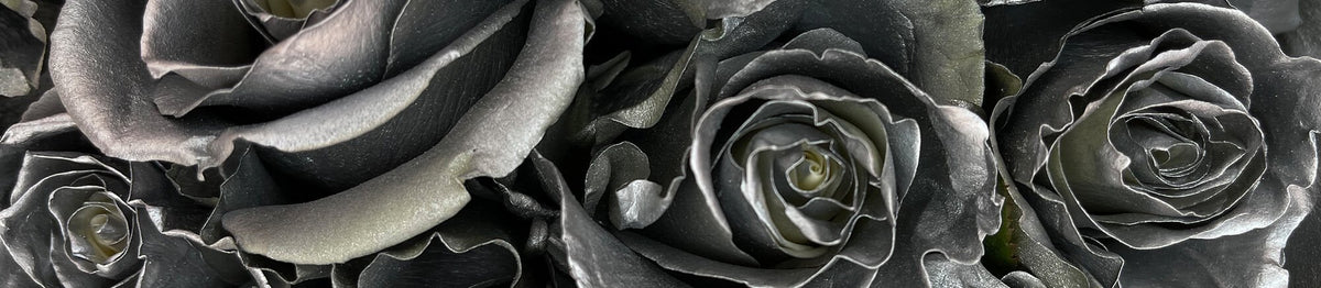 Silver Roses | Silver Roses Delivery — Rosaholics