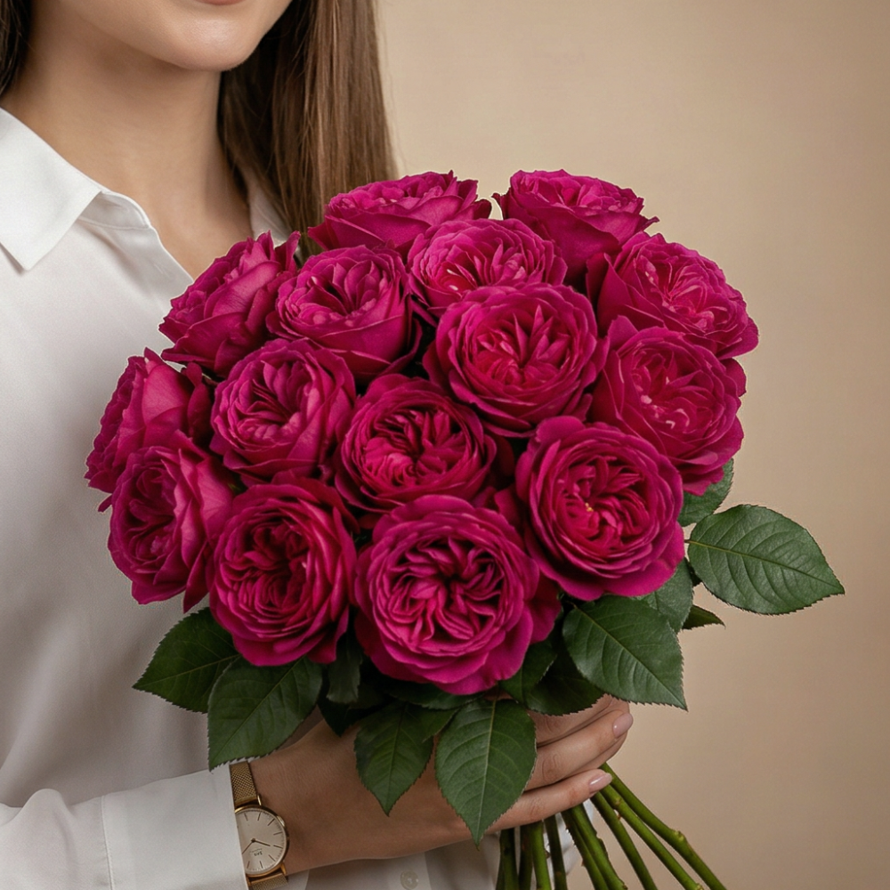 David Austin Rose Collection – English Garden Roses by Rosaholics