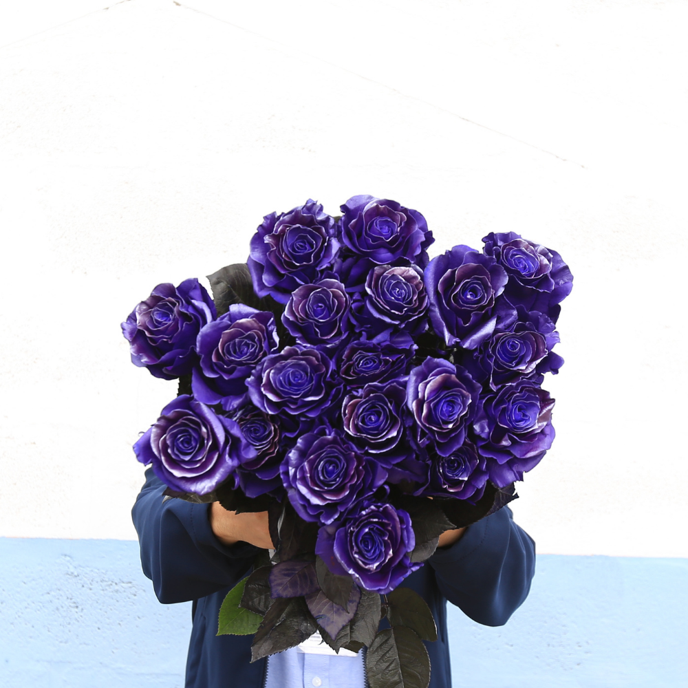 Fresh Roses On Sale | Discount Rose Bouquets – Rosaholics