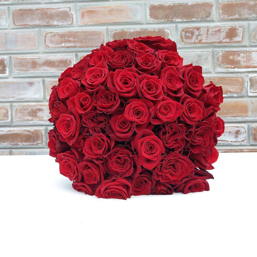 1 Dozen Red Roses | Farm Bouquet Delivery – Rosaholics